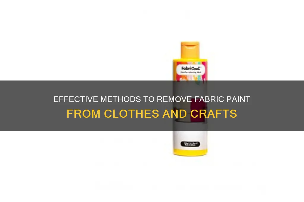 Effective Methods To Remove Fabric Paint From Clothes And Crafts | CyPaint