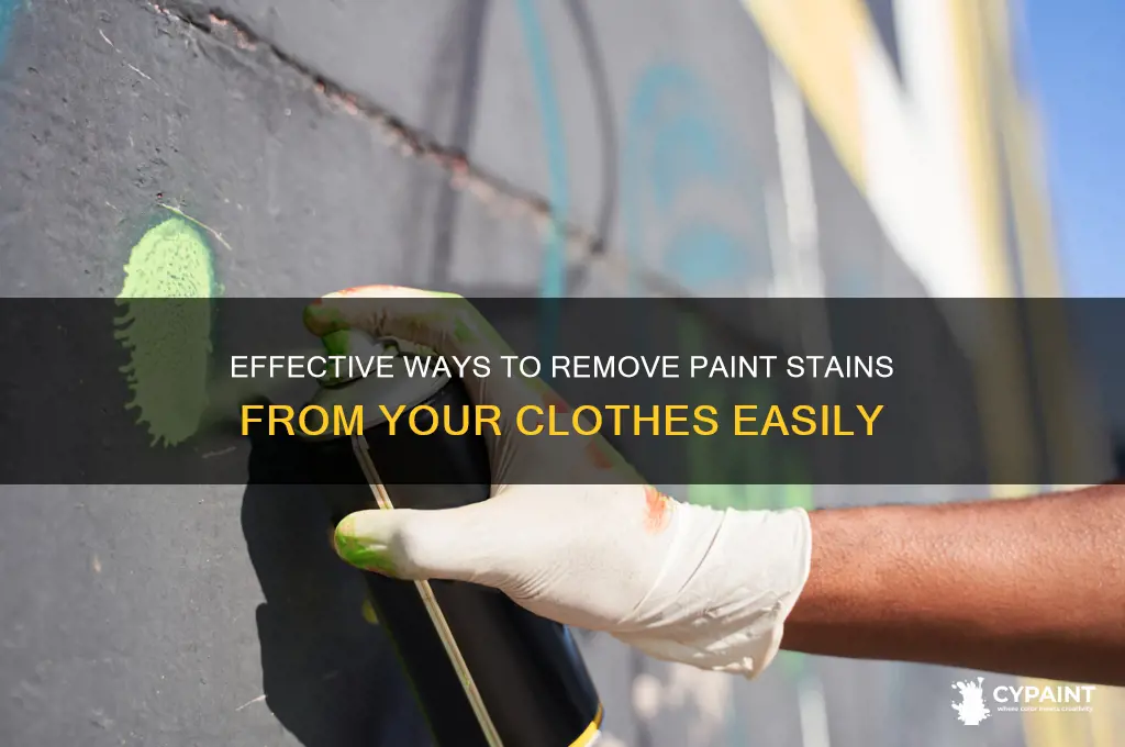 Effective Ways To Remove Paint Stains From Your Clothes Easily | CyPaint