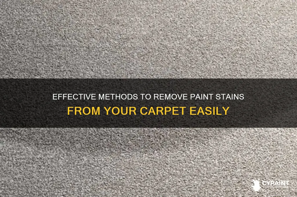 Effective Methods To Remove Paint Stains From Your Carpet Easily | CyPaint