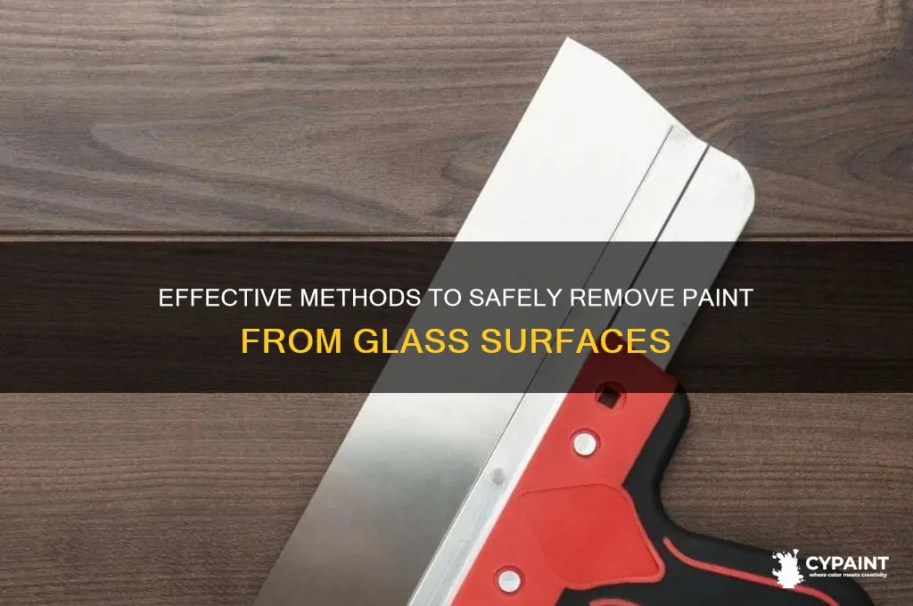 Effective Methods To Safely Remove Paint From Glass Surfaces | CyPaint