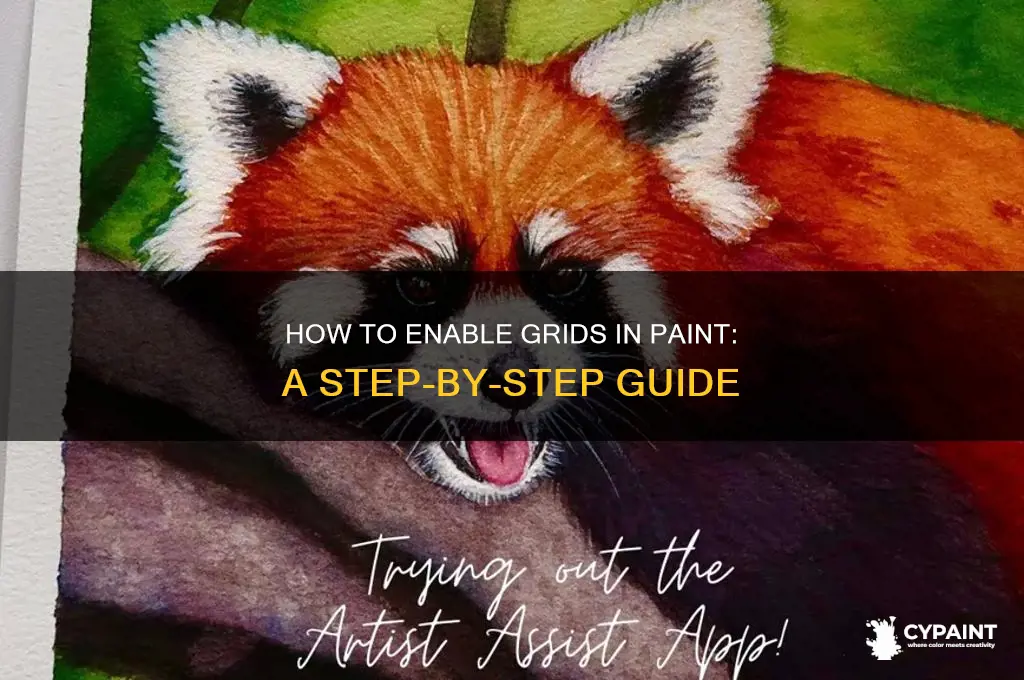 How To Enable Grids In Paint: A Step-By-Step Guide | CyPaint