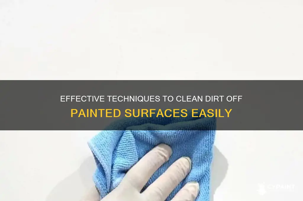Effective Techniques To Clean Dirt Off Painted Surfaces Easily | CyPaint