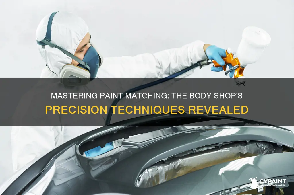 Mastering Paint Matching: The Body Shop's Precision Techniques Revealed ...
