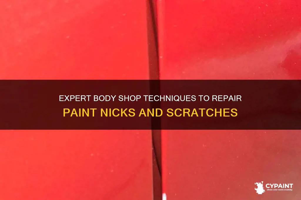 Expert Body Shop Techniques To Repair Paint Nicks And Scratches | CyPaint