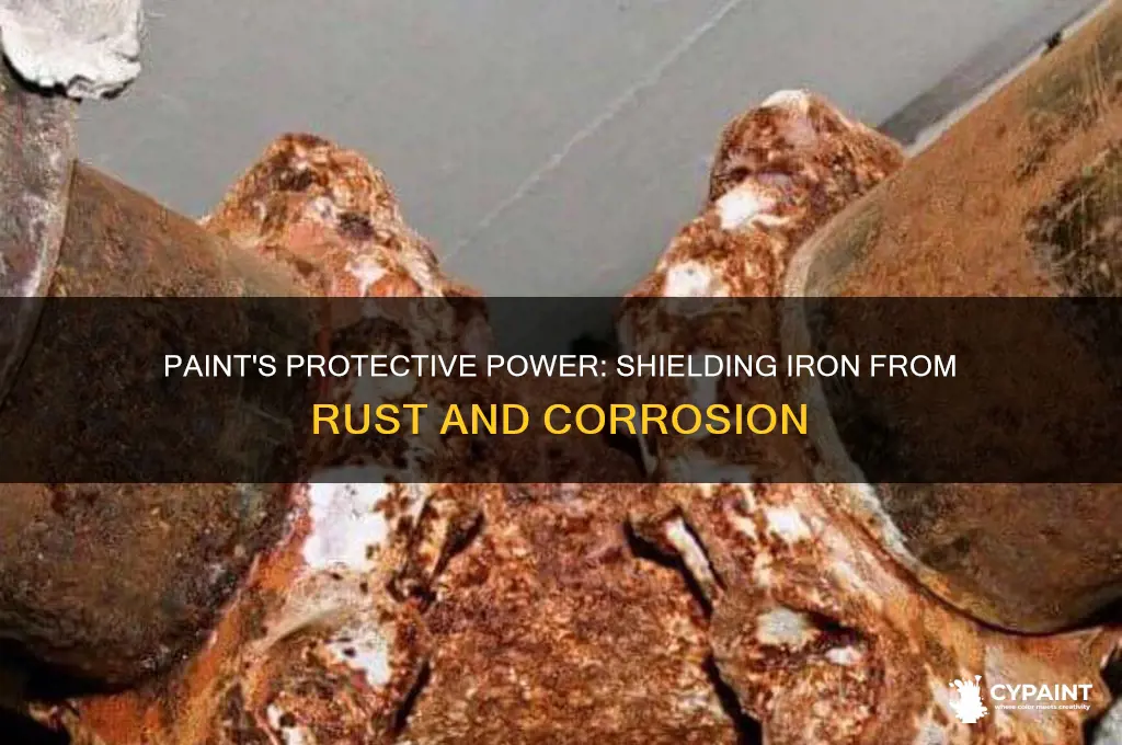 Paint's Protective Power: Shielding Iron From Rust And Corrosion | CyPaint