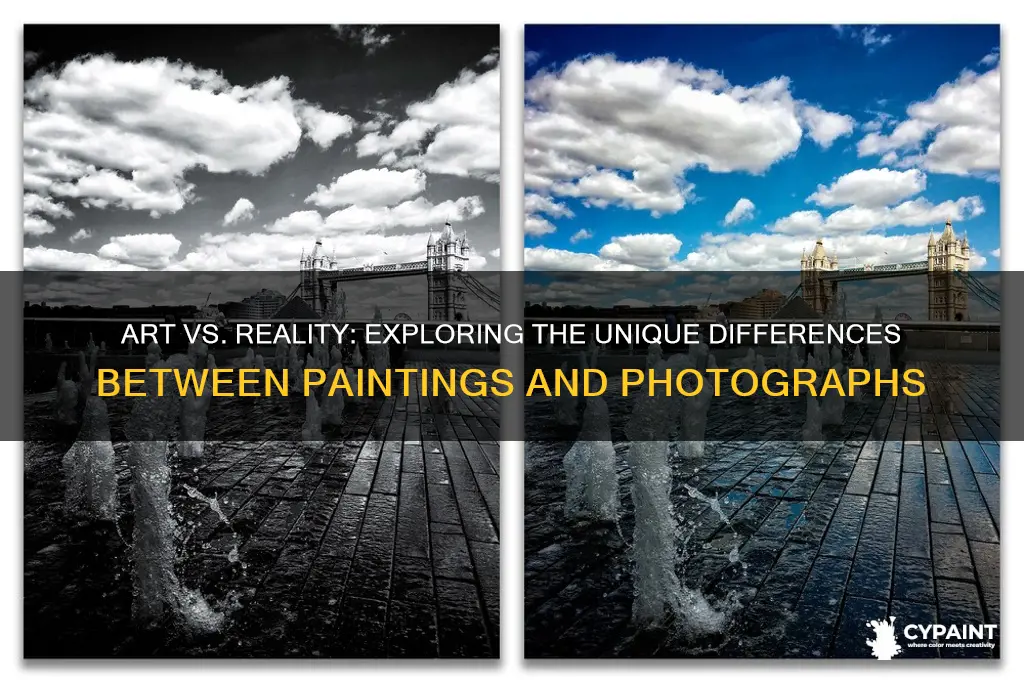 Art Vs. Reality: Exploring The Unique Differences Between Paintings And ...