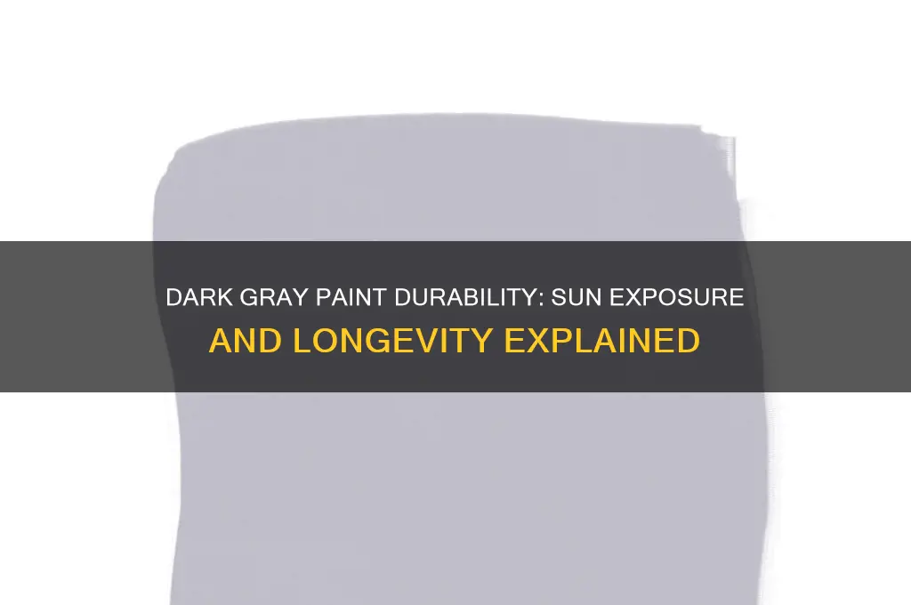 Dark Gray Paint Durability: Sun Exposure And Longevity Explained | CyPaint