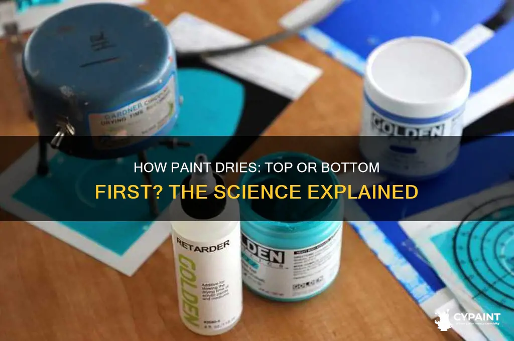 How Paint Dries: Top Or Bottom First? The Science Explained | CyPaint