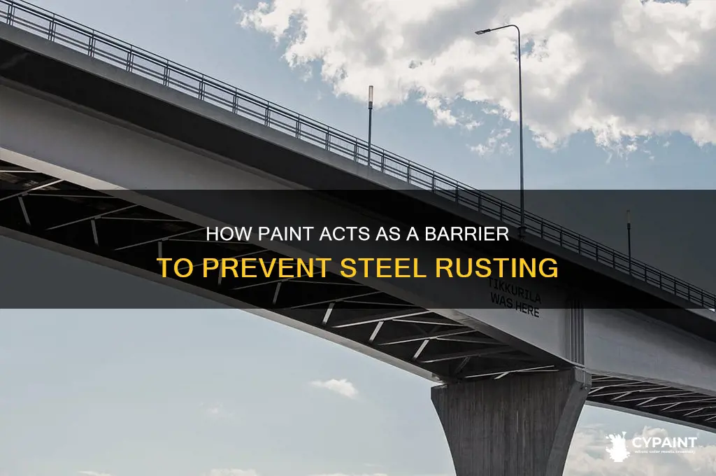 How Paint Acts As A Barrier To Prevent Steel Rusting | CyPaint
