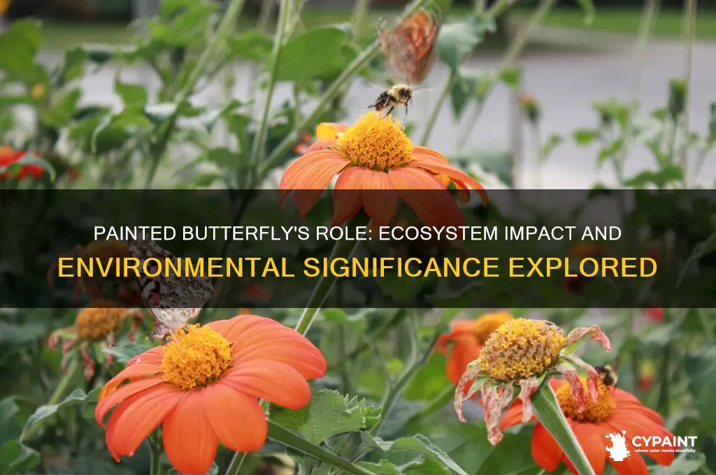 Painted Butterfly's Role: Ecosystem Impact And Environmental ...