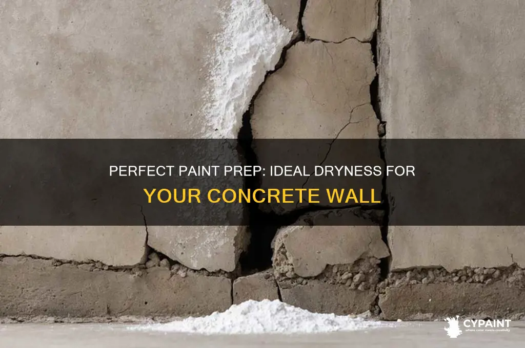 Perfect Paint Prep: Ideal Dryness For Your Concrete Wall | CyPaint