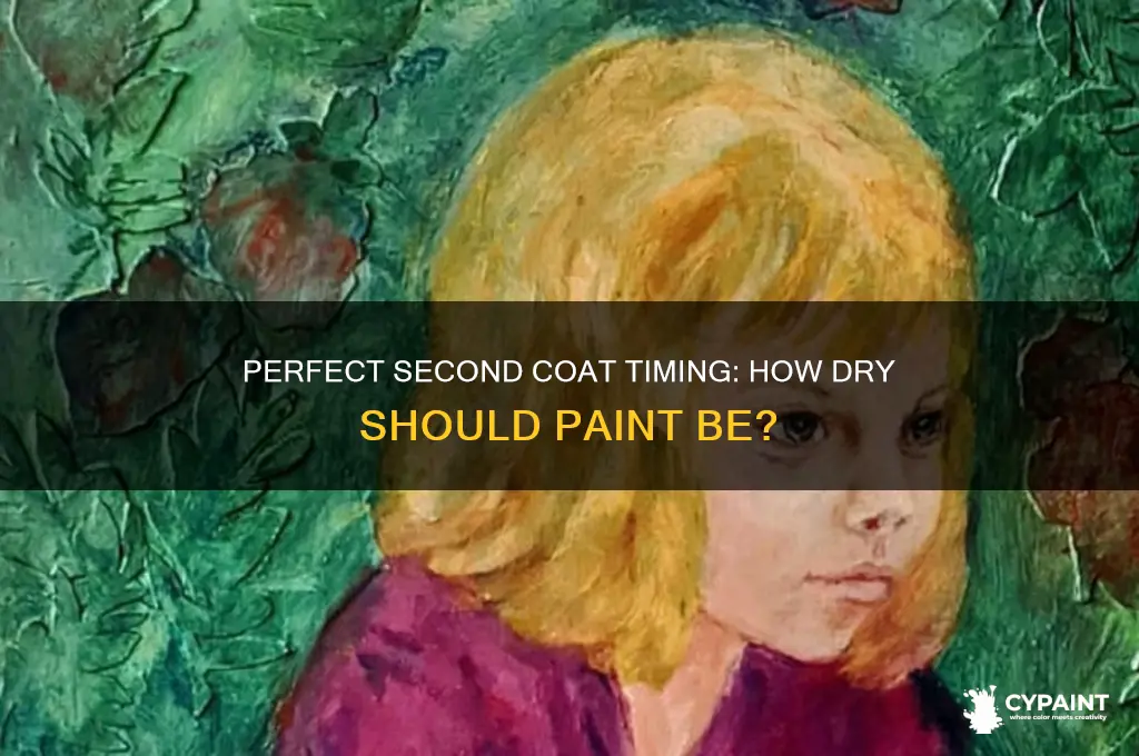 Perfect Second Coat Timing: How Dry Should Paint Be? | CyPaint