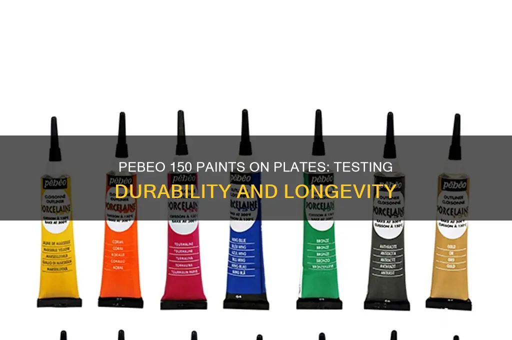Pebeo 150 Paints On Plates: Testing Durability And Longevity | CyPaint