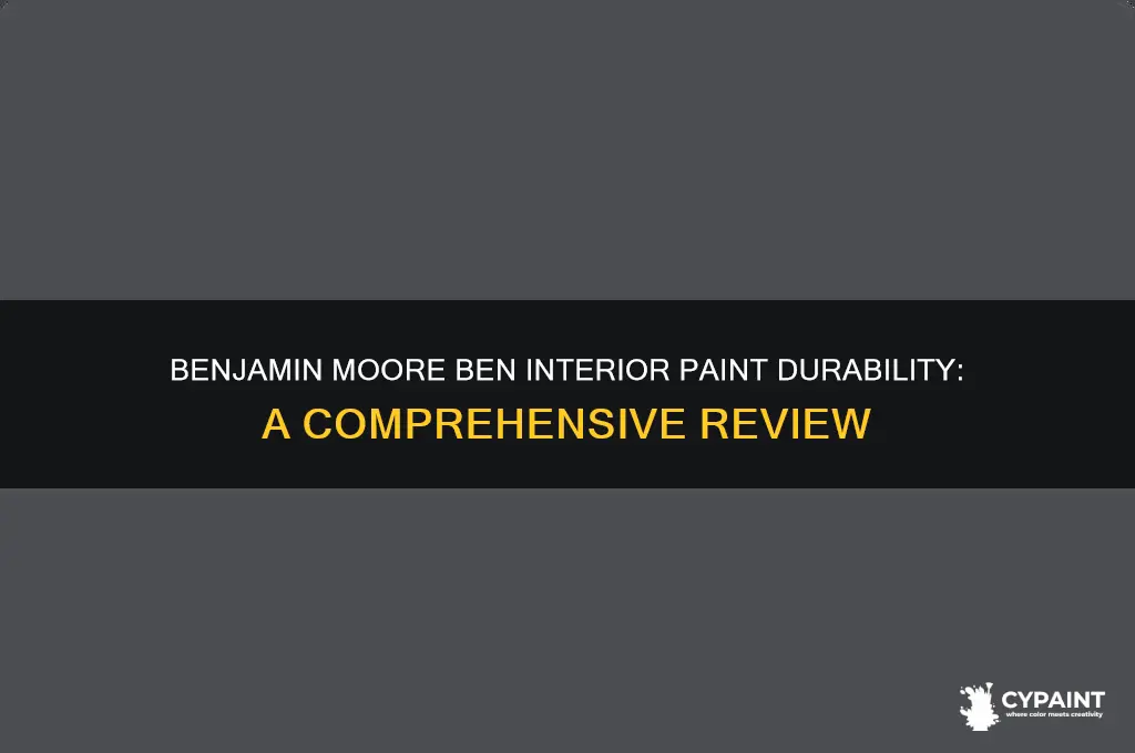 Benjamin Moore Ben Interior Paint Durability: A Comprehensive Review ...