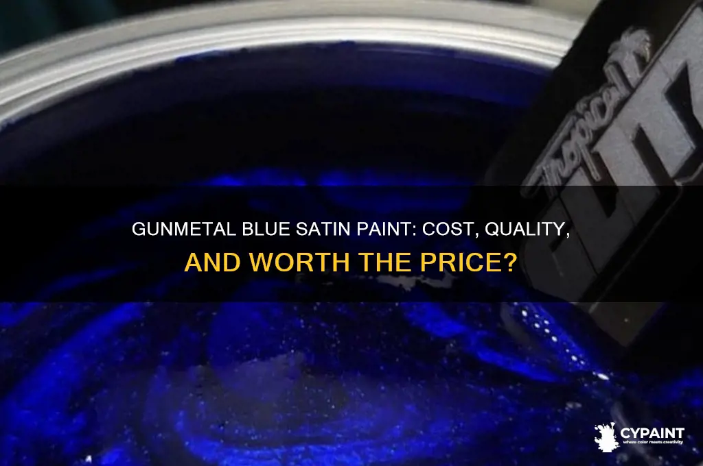 Gunmetal Blue Satin Paint: Cost, Quality, And Worth The Price? | CyPaint