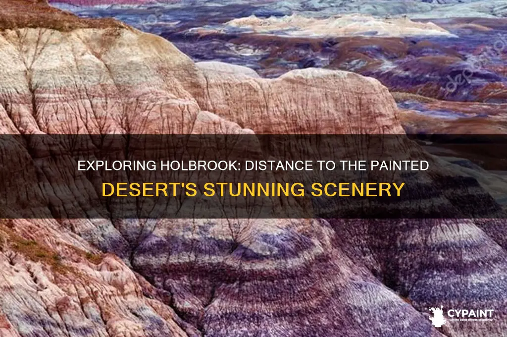 Exploring Holbrook: Distance To The Painted Desert's Stunning Scenery ...