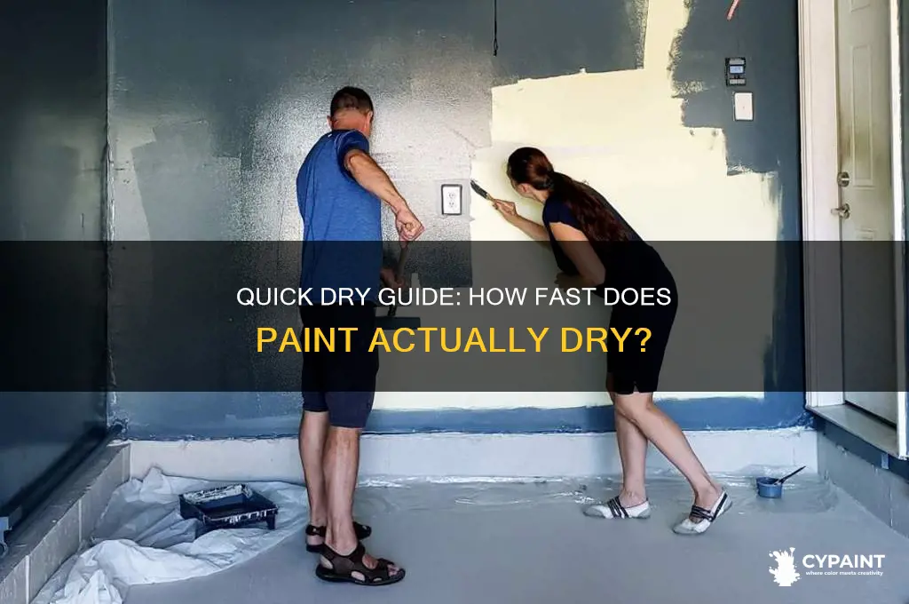Quick Dry Guide: How Fast Does Paint Actually Dry? | CyPaint