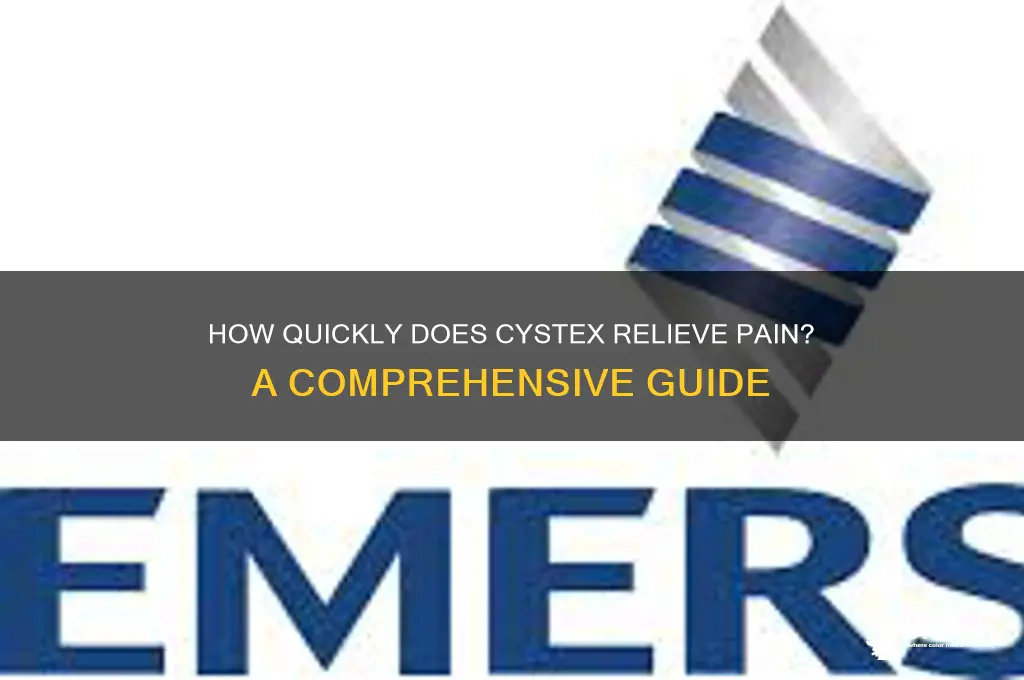 How Quickly Does Cystex Relieve Pain? A Comprehensive Guide | CyPaint