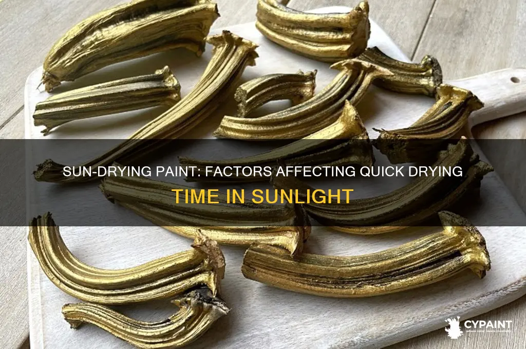Sun-Drying Paint: Factors Affecting Quick Drying Time In Sunlight | CyPaint