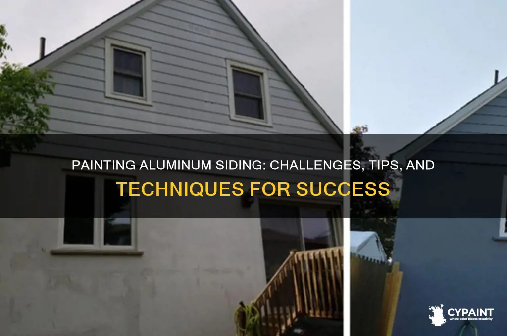 Painting Aluminum Siding: Challenges, Tips, And Techniques For Success ...