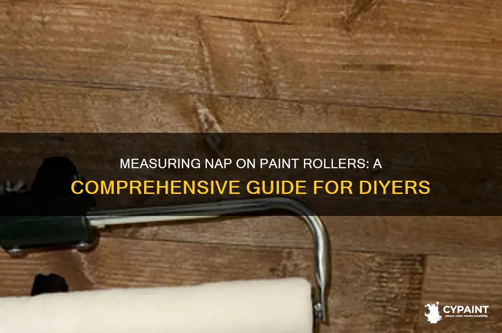 Measuring Nap On Paint Rollers: A Comprehensive Guide For Diyers | CyPaint