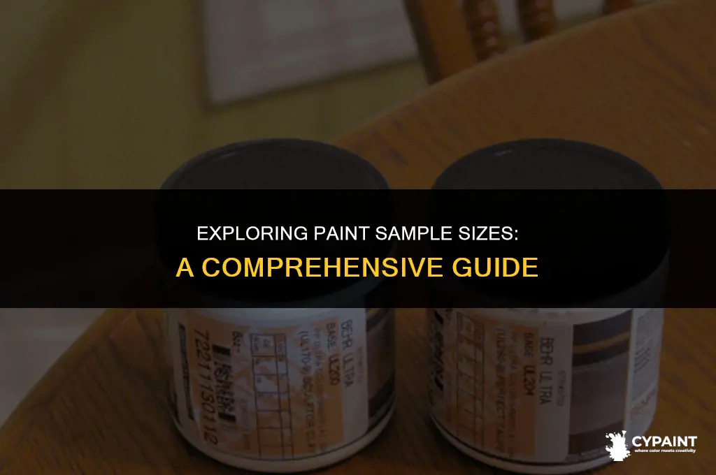 Exploring Paint Sample Sizes: A Comprehensive Guide | CyPaint