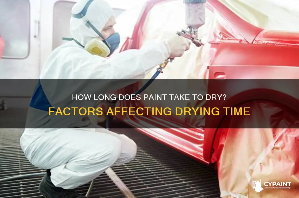 How Long Does It Take For Automotive Paint To Dry
