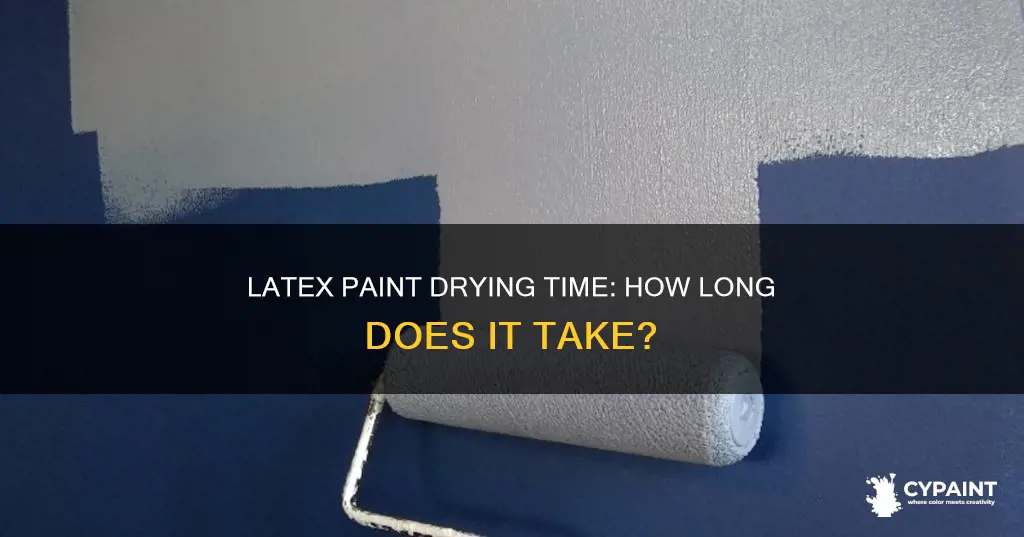Latex Paint Drying Time: How Long Does It Take? | CyPaint