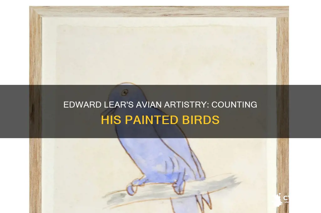 Edward Lear's Avian Artistry: Counting His Painted Birds | CyPaint