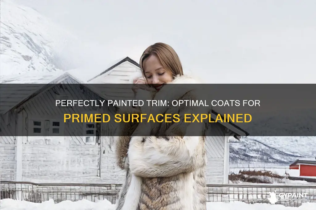 Perfectly Painted Trim: Optimal Coats For Primed Surfaces Explained ...