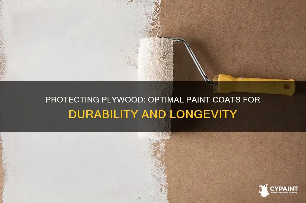Protecting Plywood: Optimal Paint Coats For Durability And Longevity ...