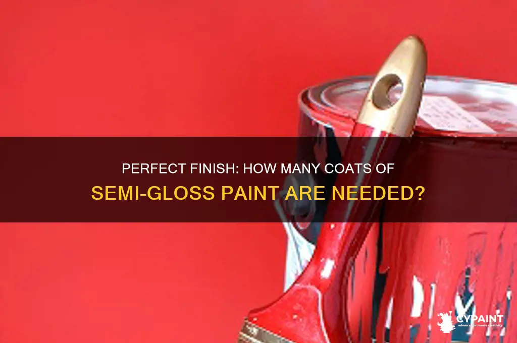 Perfect Finish: How Many Coats Of Semi-Gloss Paint Are Needed? | CyPaint