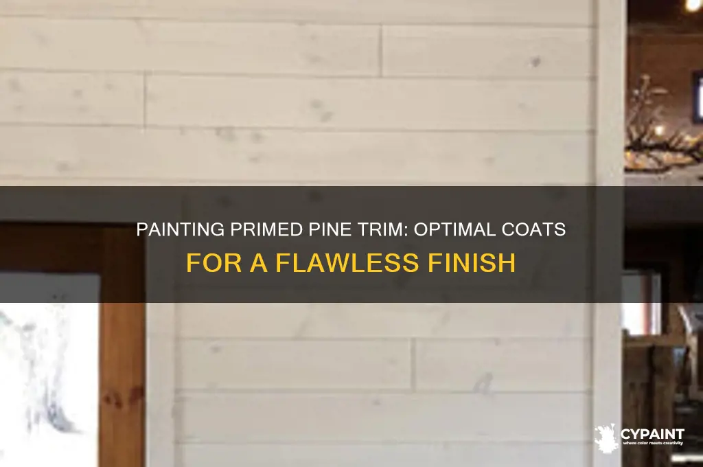 Painting Primed Pine Trim: Optimal Coats For A Flawless Finish | CyPaint