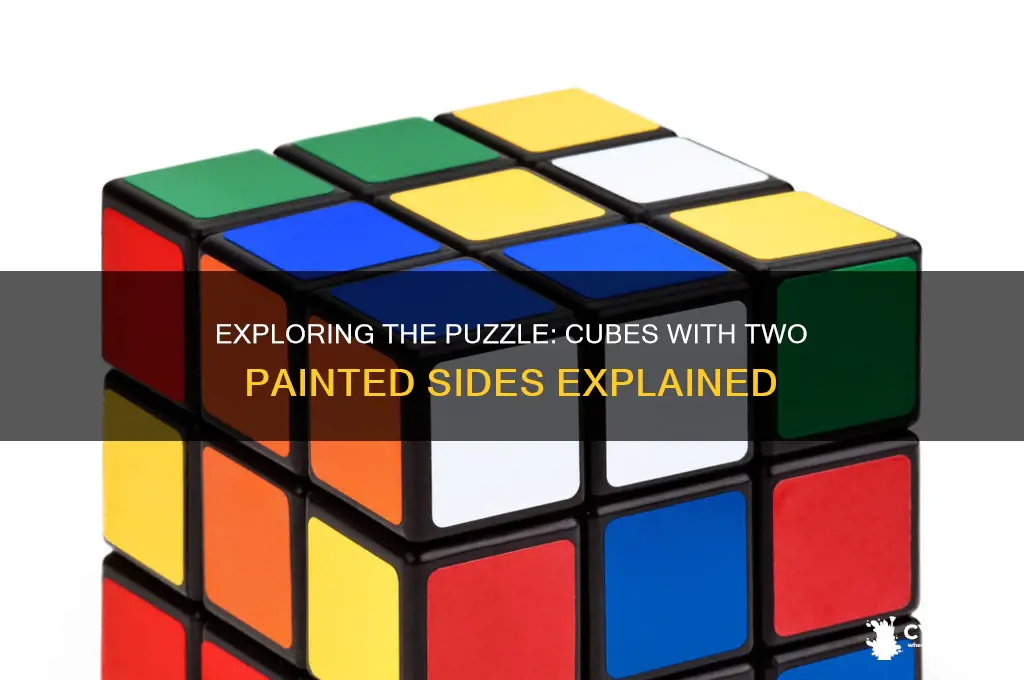 Exploring The Puzzle: Cubes With Two Painted Sides Explained | CyPaint