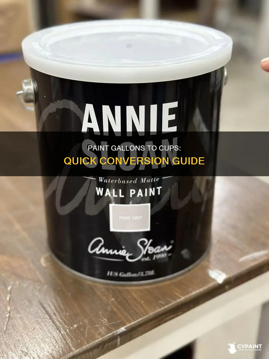 Paint Gallons To Cups: Quick Conversion Guide | CyPaint