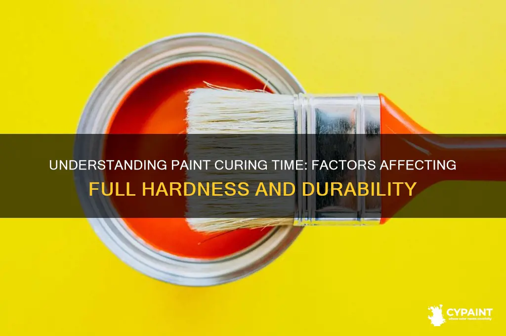 Understanding Paint Curing Time: Factors Affecting Full Hardness And ...