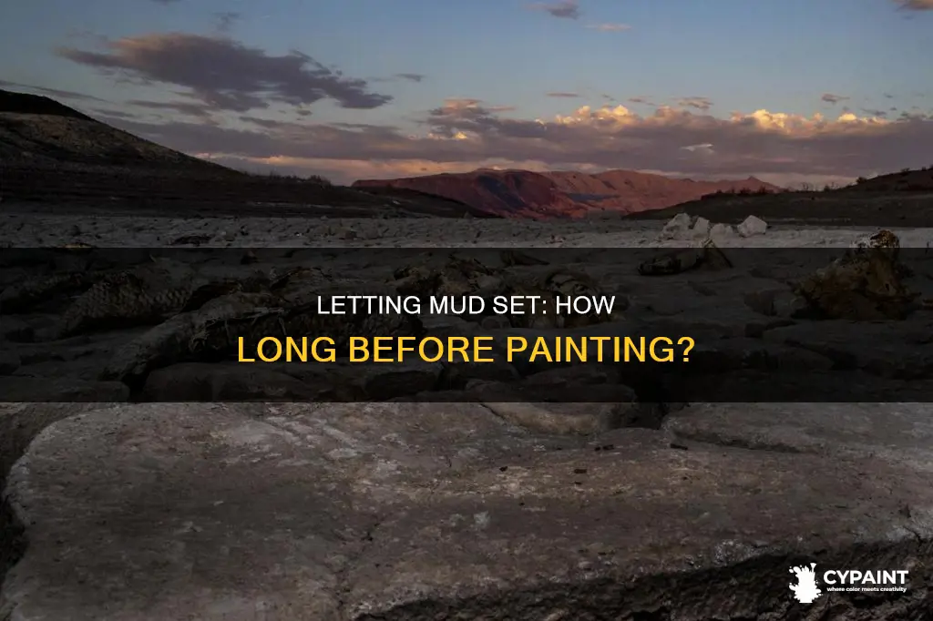 Letting Mud Set: How Long Before Painting? | CyPaint