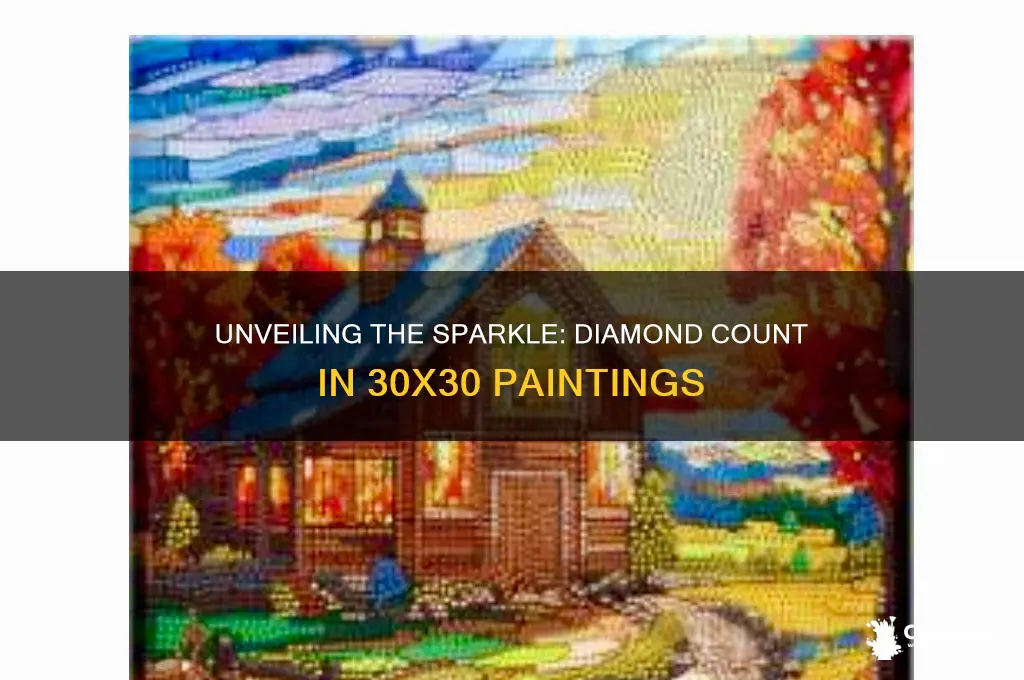 Unveiling The Sparkle: Diamond Count In 30X30 Paintings | CyPaint