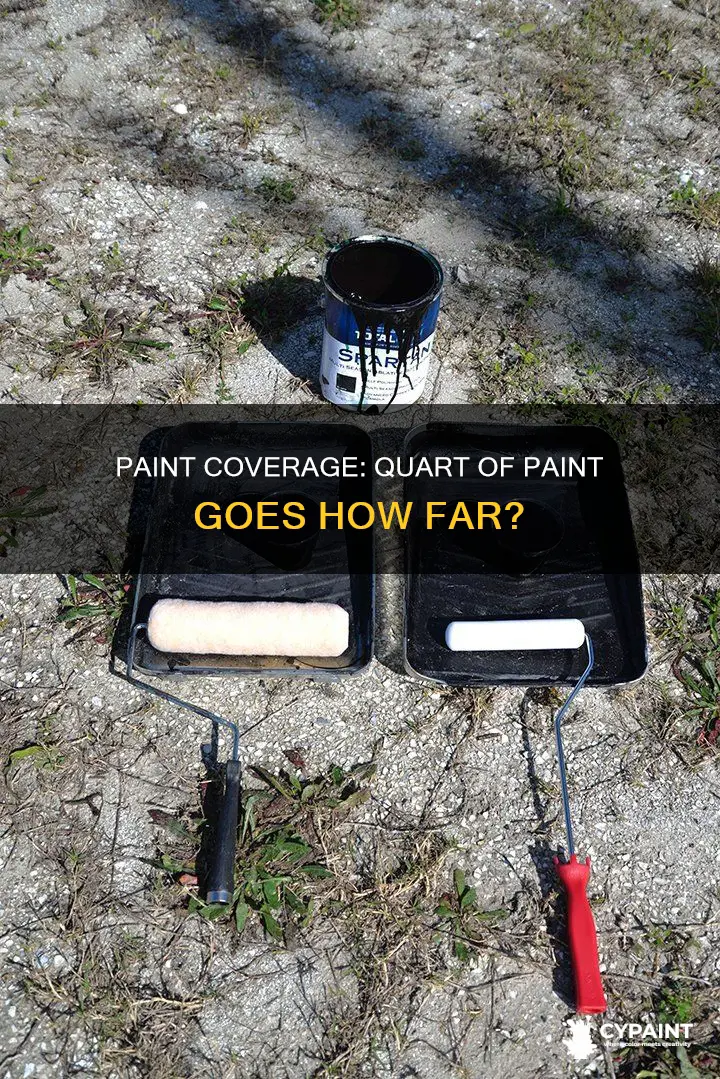 Paint Coverage: Quart Of Paint Goes How Far? | CyPaint