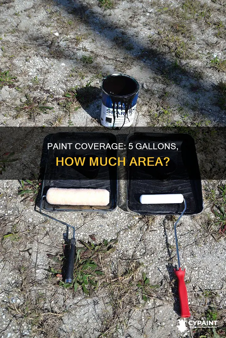 Paint Coverage: 5 Gallons, How Much Area? | CyPaint