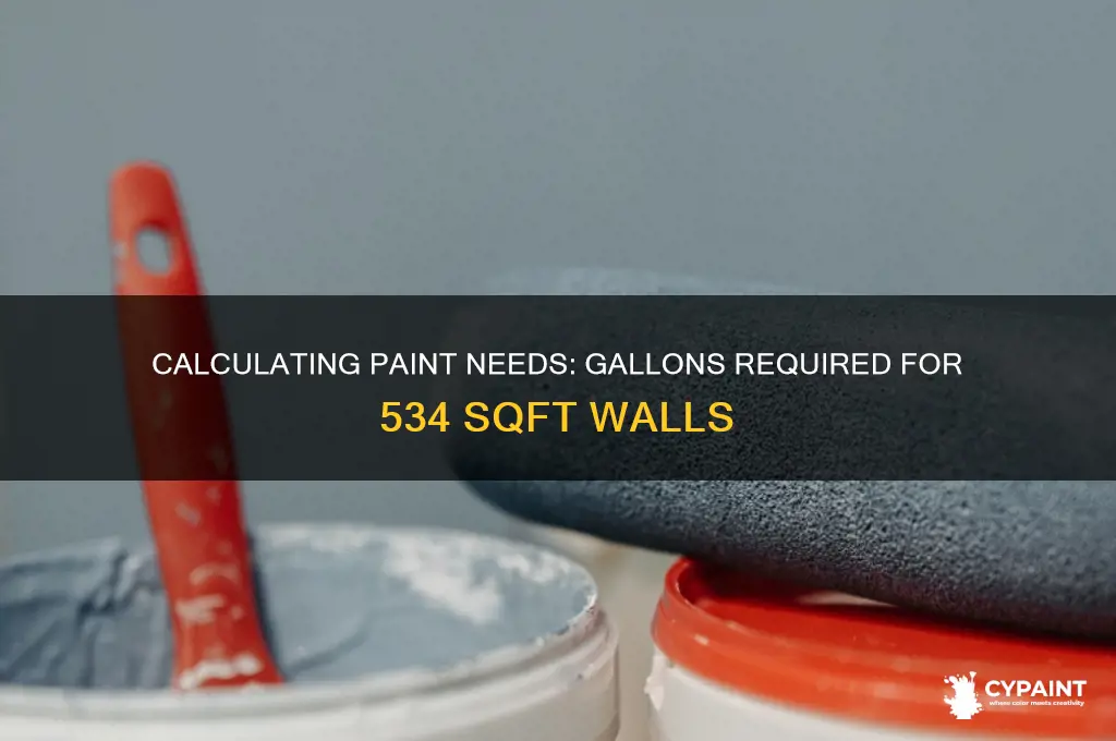 Calculating Paint Needs: Gallons Required For 534 Sqft Walls | CyPaint