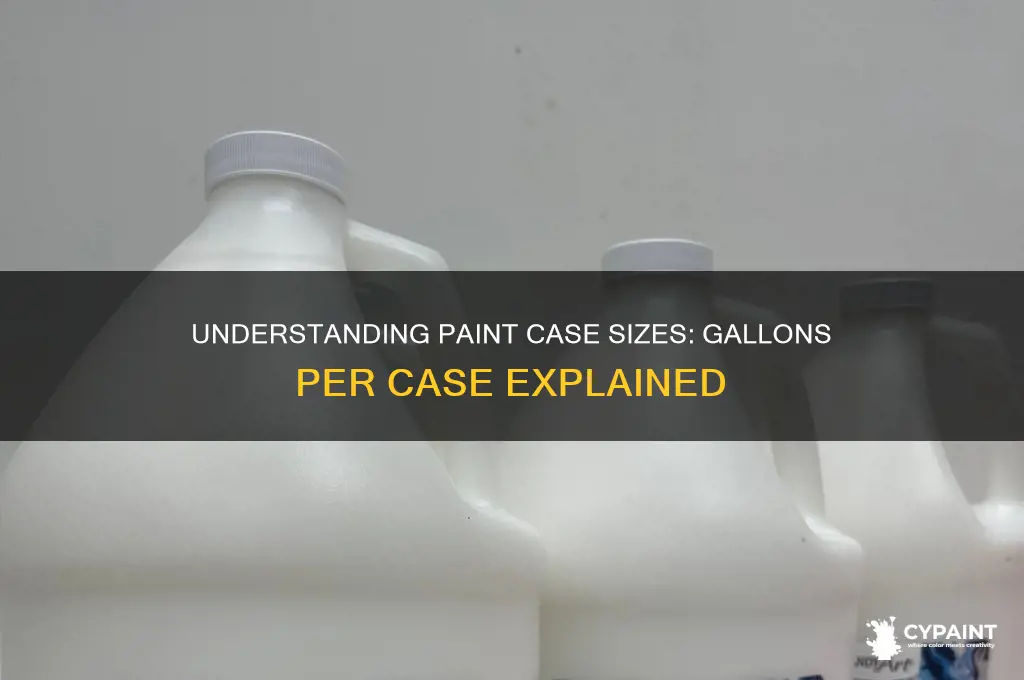 Understanding Paint Case Sizes: Gallons Per Case Explained | CyPaint