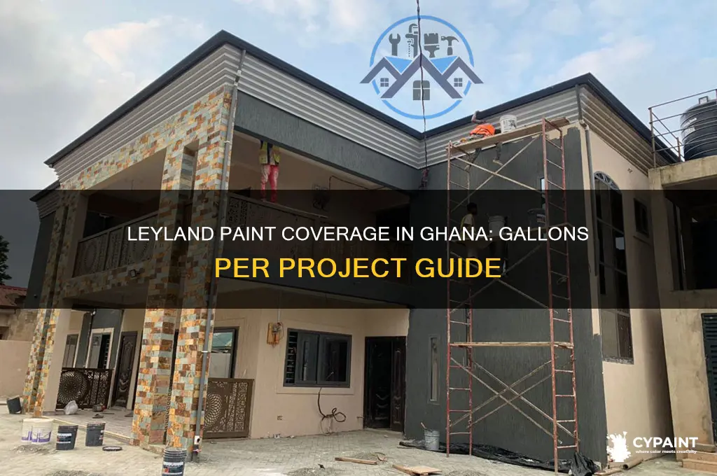 Leyland Paint Coverage In Ghana: Gallons Per Project Guide | CyPaint