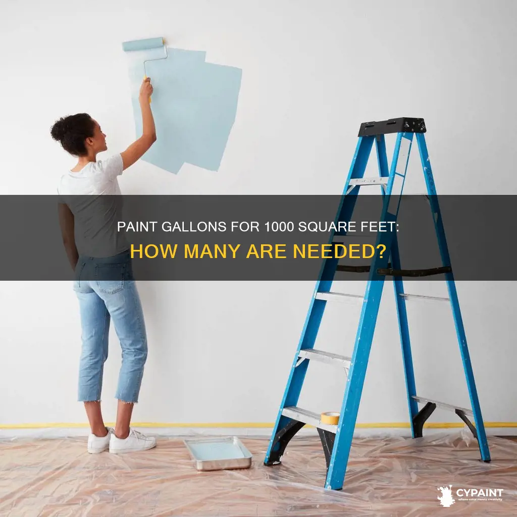 Paint Gallons For 1000 Square Feet: How Many Are Needed? | CyPaint