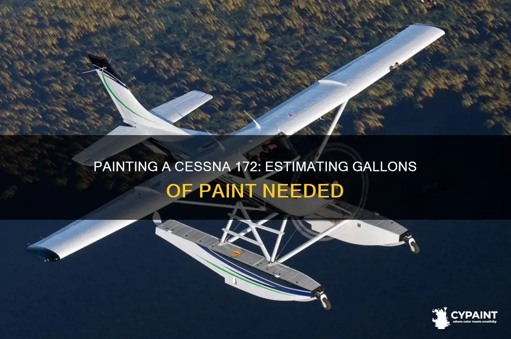 Painting A Cessna 172: Estimating Gallons Of Paint Needed | CyPaint