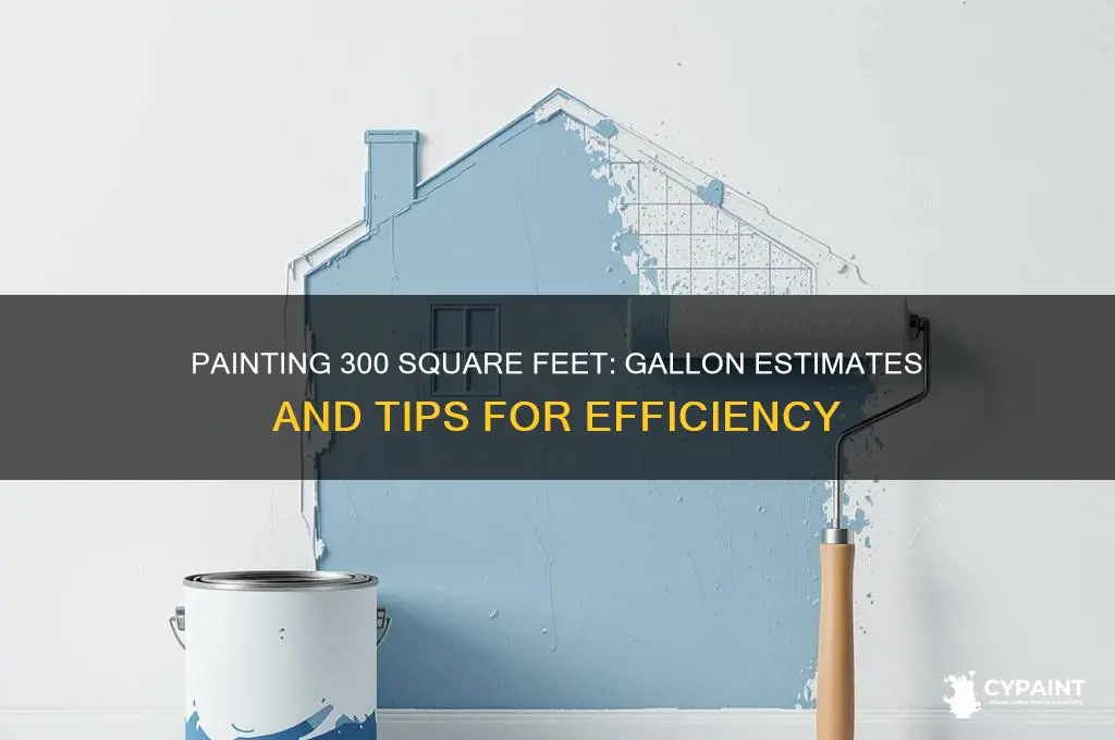 Painting 300 Square Feet: Gallon Estimates And Tips For Efficiency ...