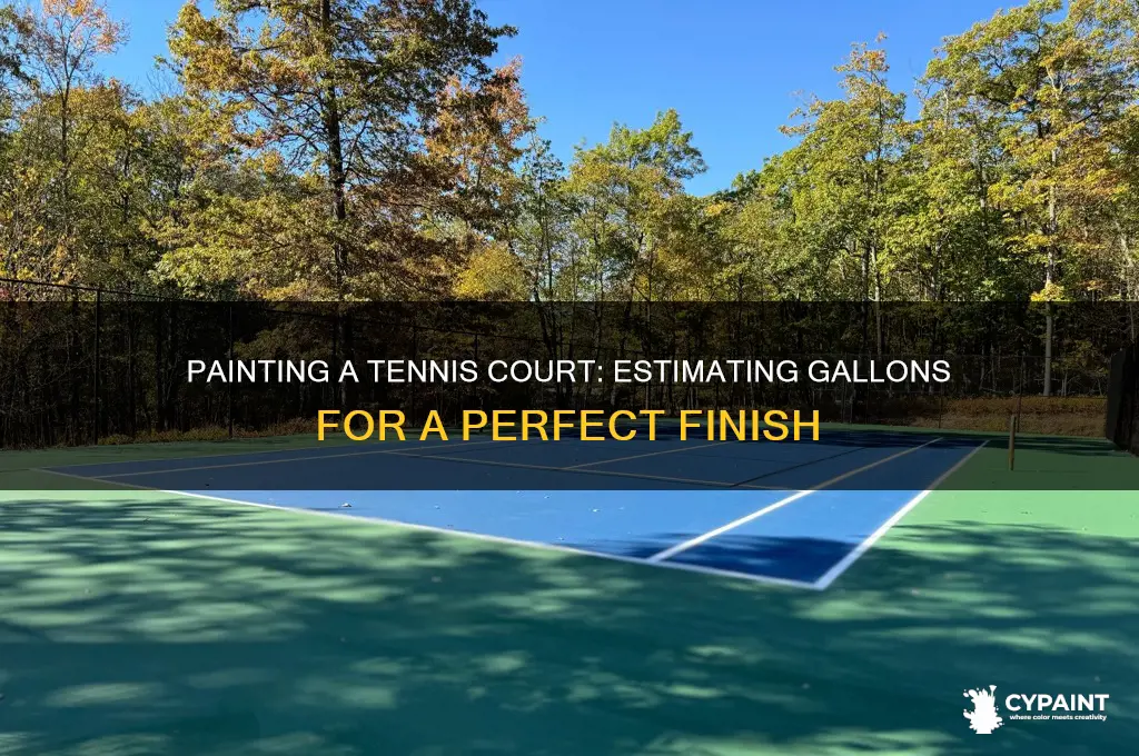 Painting A Tennis Court: Estimating Gallons For A Perfect Finish | CyPaint