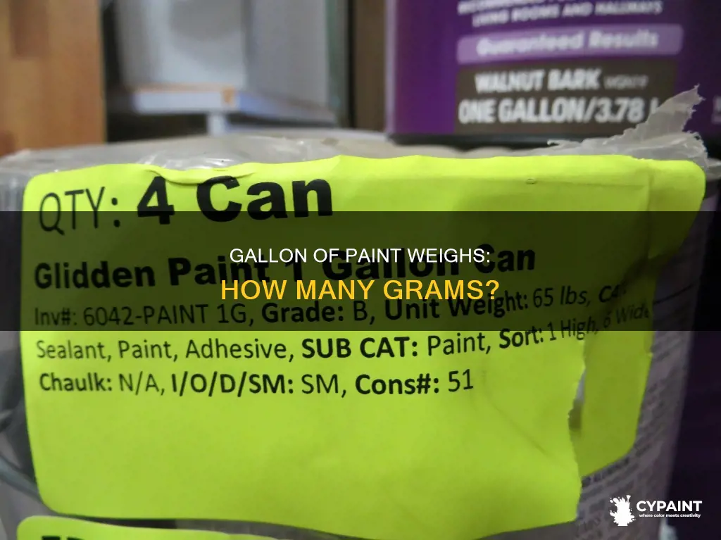 Gallon Of Paint Weighs: How Many Grams? | CyPaint