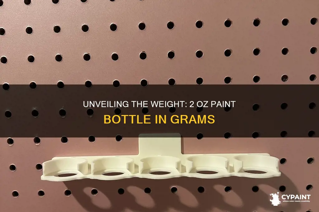 Unveiling The Weight: 2 Oz Paint Bottle In Grams | CyPaint