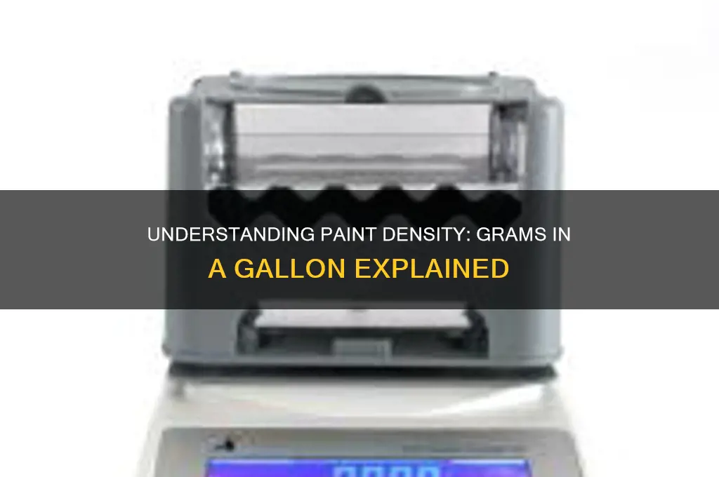 Understanding Paint Density: Grams In A Gallon Explained | CyPaint